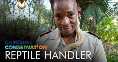 Careers in Conservation Video Series | Presented by Global Conservation ...